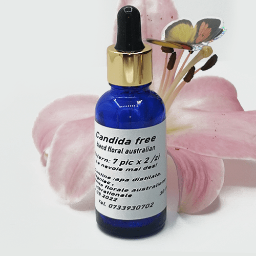 Candida Free - remediu floral pentru candida - Healthy Life