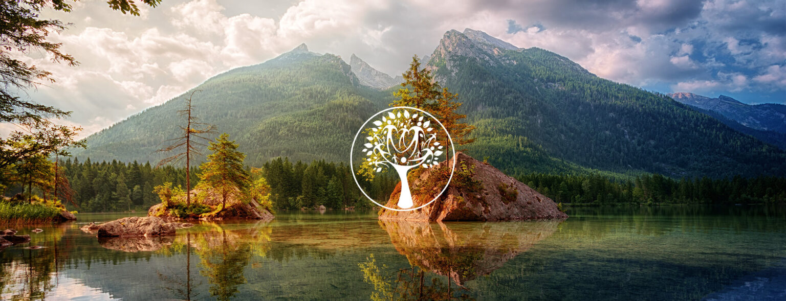 Constelatii familiale cu obiecte simbolice - Healthy Life